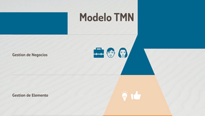 Modelo TMN by Giovanny Alberto Gonzalez Rojas on Prezi Design