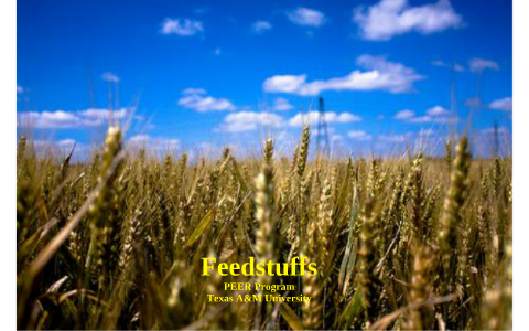 Feedstuff Classification by Torri Whitaker on Prezi