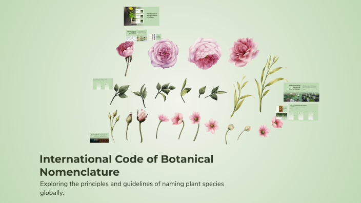 International Code of Botanical Nomenclature by Zhora Scoob on Prezi