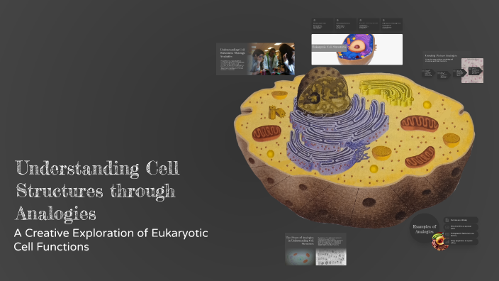 Understanding Cell Structures through Analogies by Warren Kerindo on Prezi