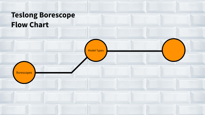 Borescope Flow Chart by Caitlin Vang on Prezi