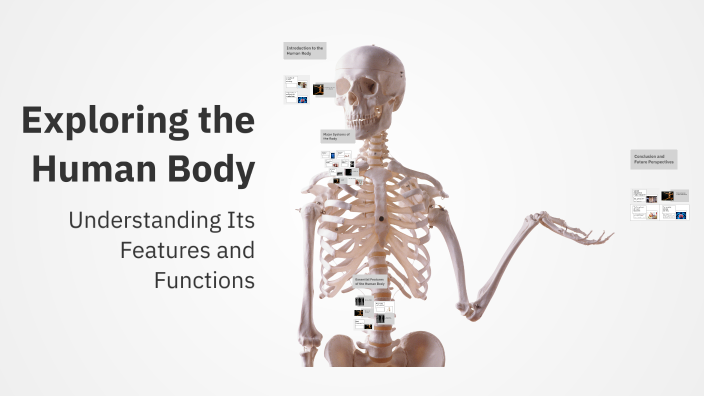 Exploring the Human Body by Güngör Şireci on Prezi