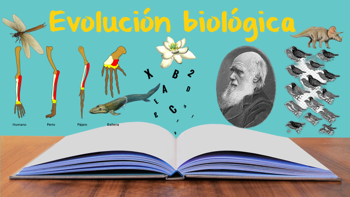 Evolución biológica by Natalia Tepox on Prezi