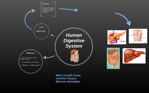 Human Digestive System by Mark Joseph Tunac on Prezi