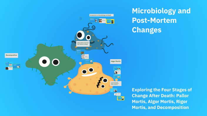 Microbiology and Post-Mortem Changes by jerome braxton on Prezi