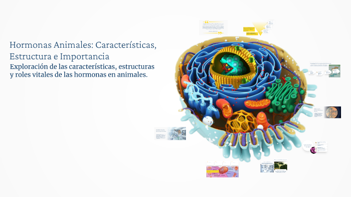 Hormonas Animales: Características, Estructura e Importancia by CARMEN ...