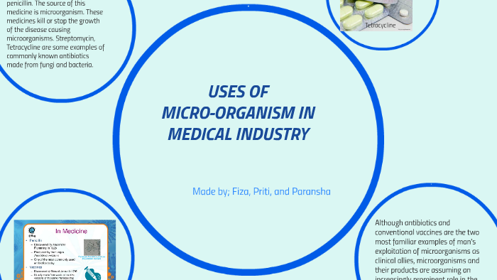 USES OF MICRO-ORGANISMS IN MEDICINAL INDUSTRY by Fiza Adnan on Prezi
