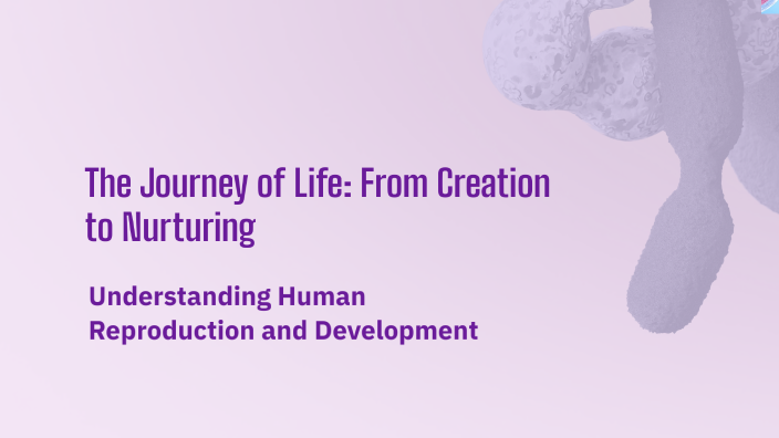 The Journey of Life: From Creation to Nurturing by Sierra Gatt on Prezi