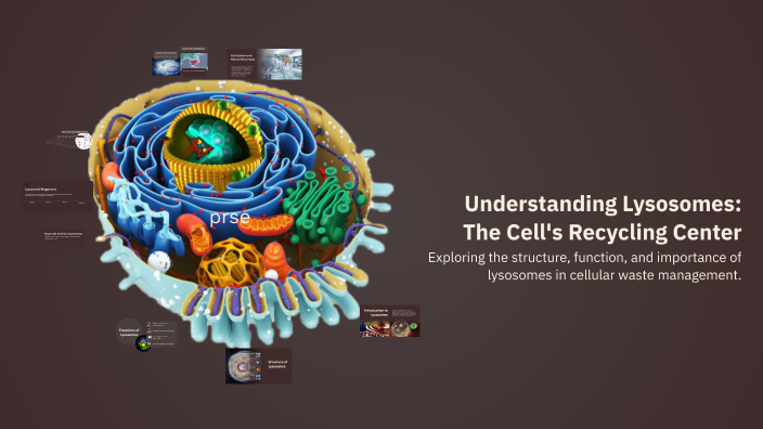 Understanding Lysosomes: The Cell's Recycling Center by SAOOD KHAN on Prezi
