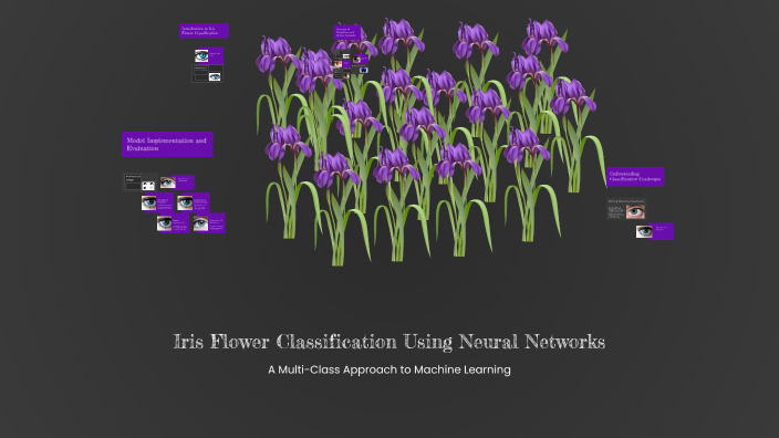 Iris Flower Classification Using Neural Networks by Mohammed Alabweh on ...