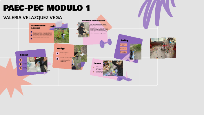 PAEC-PEC MODULO 1 by VELÁZQUEZ VEGA VALERIA on Prezi