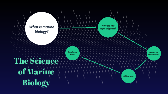 The Science of Marine Biology by Maggie Walko on Prezi