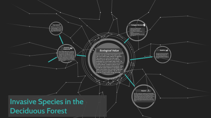 Invasive Species in the Deciduous Forest by Salma Chicas on Prezi