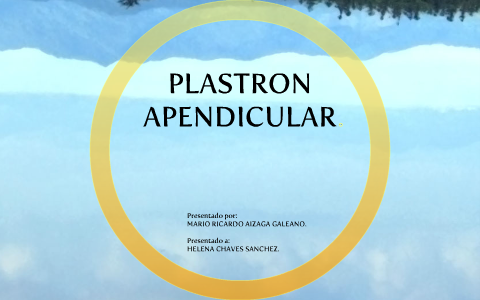 PLASTRON APENDICULAR by Mario Aizaga on Prezi