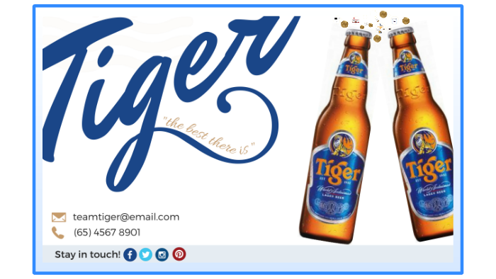 Tiger Beer Marketing Campaign Proposal by Sanne van Egmond on Prezi