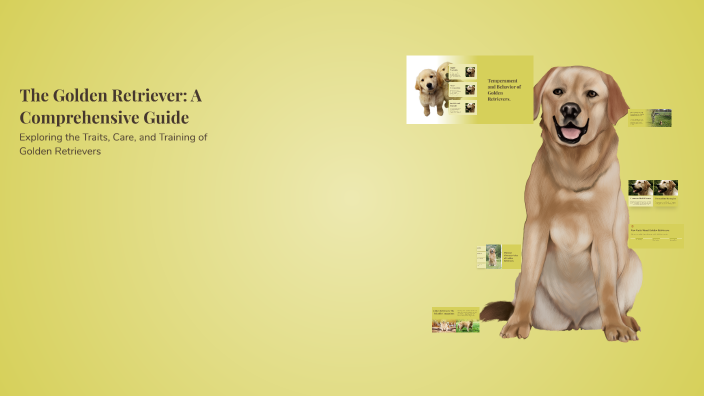 The Golden Retriever: A Comprehensive Guide by Riley Mahoney on Prezi
