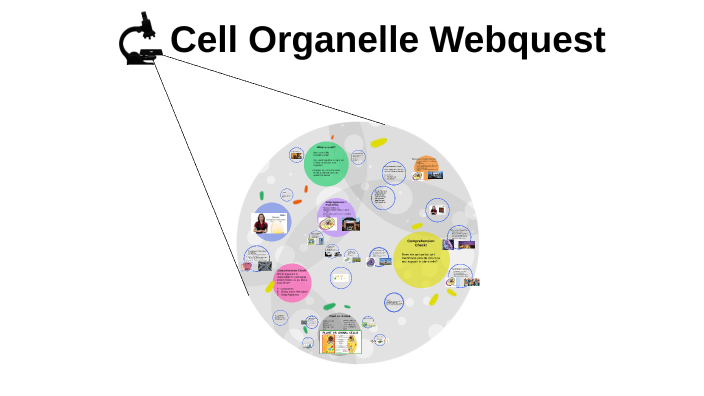 Cell Webquest by Janine Pietrangelo on Prezi