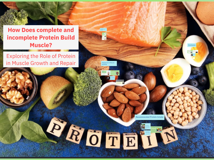 How Does Protein Build Muscle? by Lewis Brown on Prezi