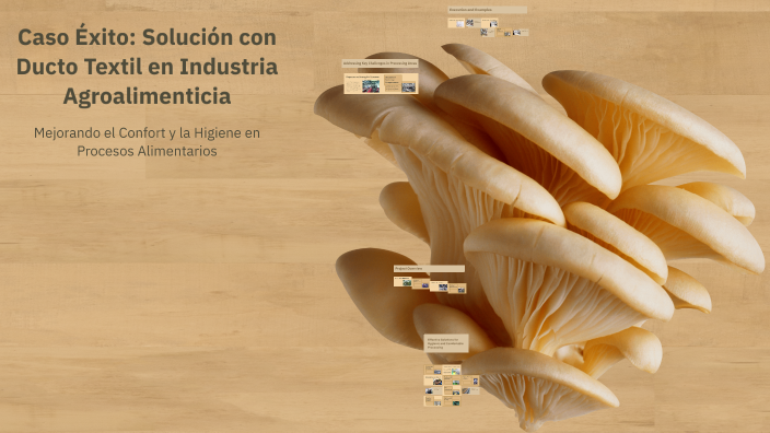 Caso Éxito: Solución con Ducto Textil en Industria Agroalimenticia by ...