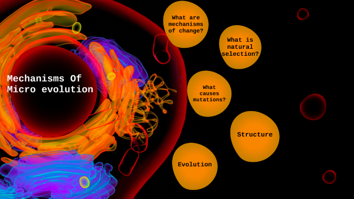 Mechanisms of Microevolution by Hilary Shultz on Prezi