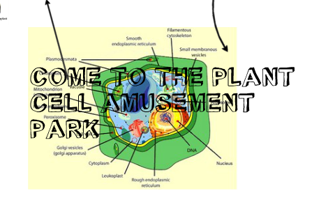Come to The Plant Cell Amusement Park by reina ashley on Prezi