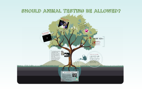 Should animal testing be allowed ? by aiza azrina on Prezi