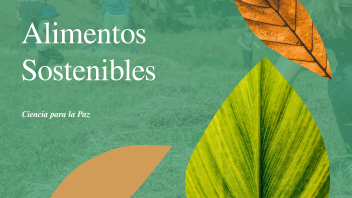 Alimentos Sostenibles by Yuli avila on Prezi