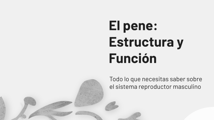 El pene: Estructura y Función by Guillermo López González on Prezi