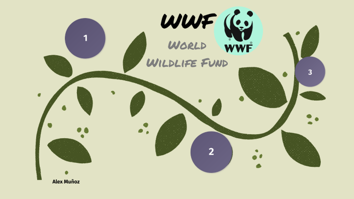 WWF (World Wildlife Fund) by on Prezi
