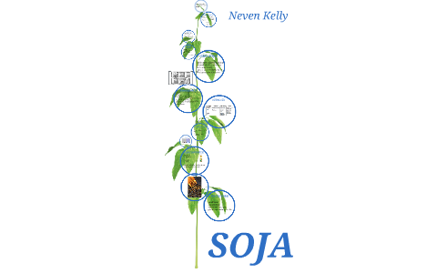 WAT IS SOJA? by Kelly Neven on Prezi