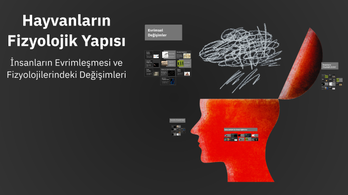 Hayvanların Fizyolojik Yapısı by Zeynep Atmaca on Prezi