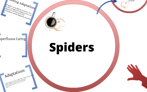 Adaptations Of Spiders by Dan Larson on Prezi
