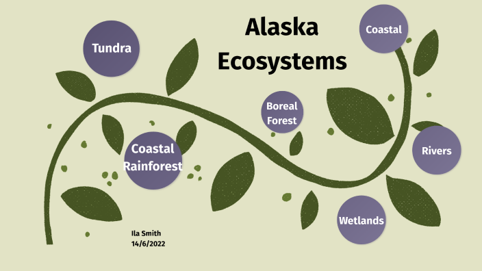 Alaska Ecosystems by Ila Smith on Prezi