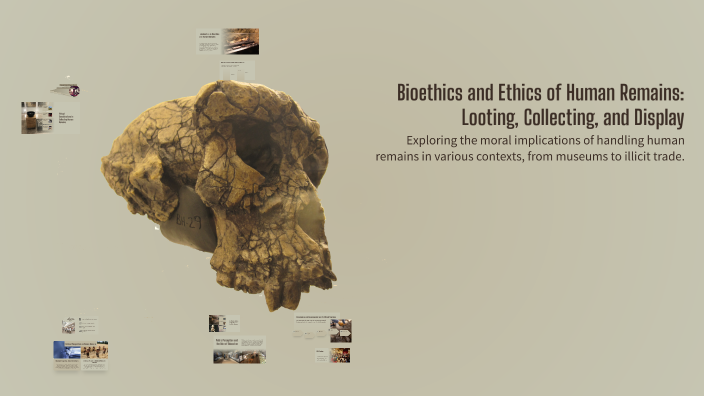 Bioethics and Ethics of Human Remains: Looting, Collecting, and Display ...