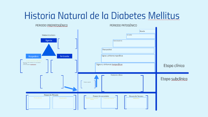 Historia Natural De La Enfermedad Diabetes