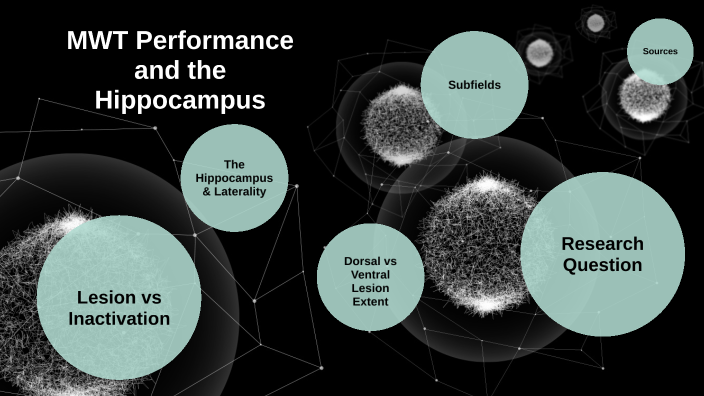 HPC Lesions and MWT Performance by Jordan Webb on Prezi