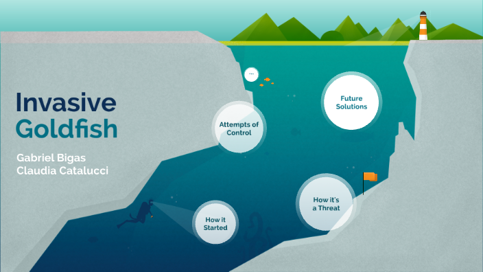 Invasive Goldfish by Gabriel Bigas on Prezi