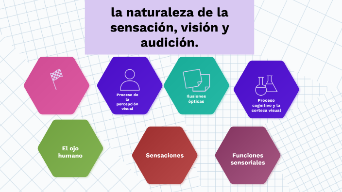 La Naturaleza De La Sensación Y Percepción Audio Visual Auditiva By