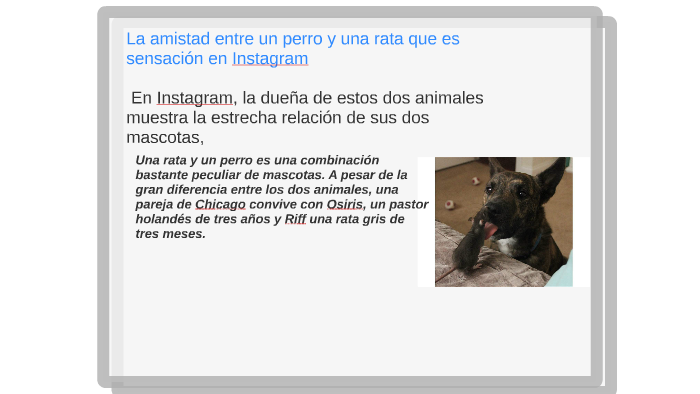 Enterate by isabella Monroy on Prezi