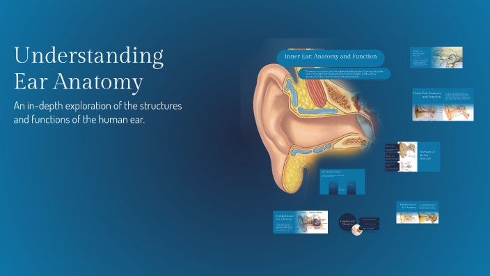 Understanding Ear Anatomy by ALI dehghani on Prezi