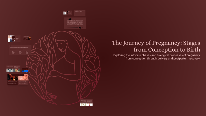 The Journey of Pregnancy: Stages from Conception to Birth by Simon Ruiz ...