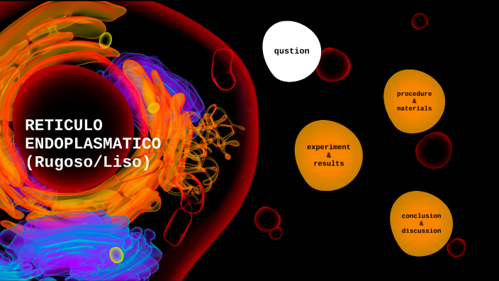 RETICULO ENDOPLASMATICO (Rugoso y Liso) by Antonio López on Prezi