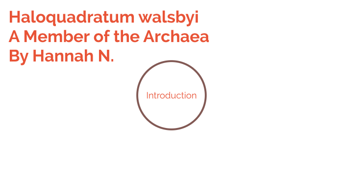 Haloquadratum walsbyi A Member of the Archaea by Hannah Newton on Prezi