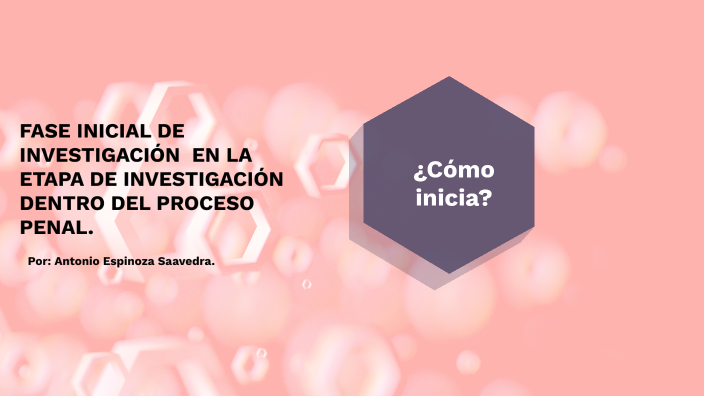 FASE INICIAL DE INVESTIGACIÓN EN LA ETAPA DE INVESTIGACIÓN DENTRO DEL ...
