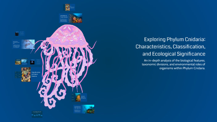 Exploring Phylum Cnidaria: Characteristics, Classification, and ...