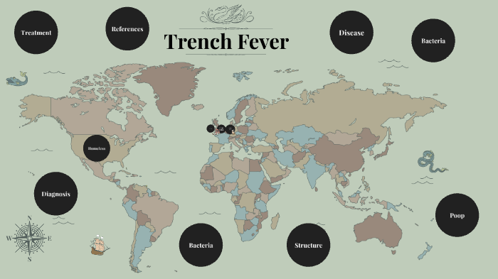 Trench Fever by Elise Burk on Prezi