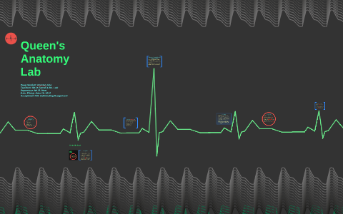 Queen's Anatomy Lab: Coop Culminating Assignment by Krysten Finn on Prezi