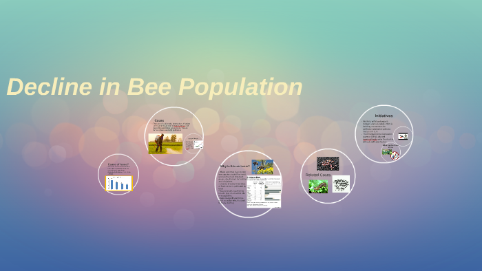 Decline in Bee population by Diana Ballarano