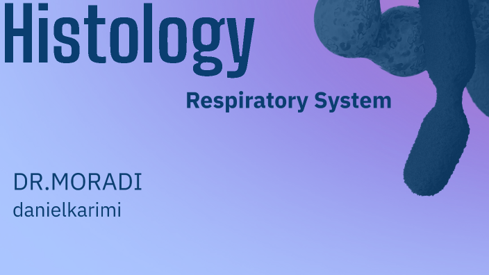 Histology by daniel karimi on Prezi
