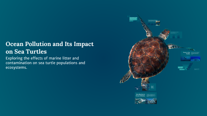 Ocean Pollution and Its Impact on Sea Turtles by Kamdyn Ross on Prezi